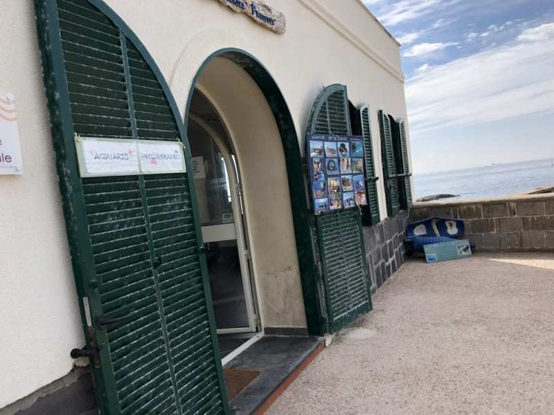 L'area marina protetta della Gaiola, un tuffo nel blu - Viaggiapiccoli