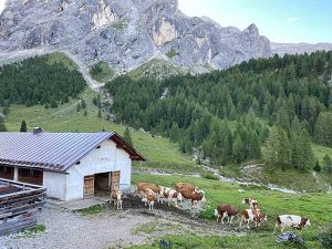 Albe in Malga, risveglio tra le vette delle Dolomiti in Val di Fassa ...