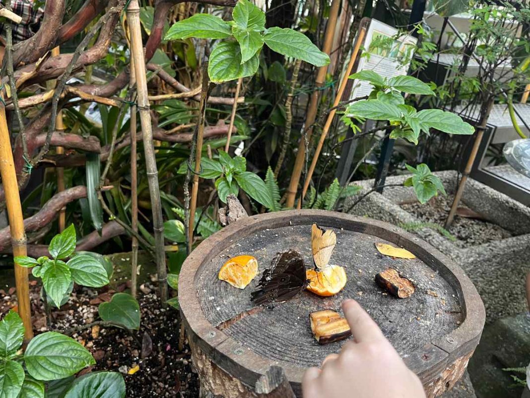 Il Parco di Pinocchio a Collodi - Viaggiapiccoli