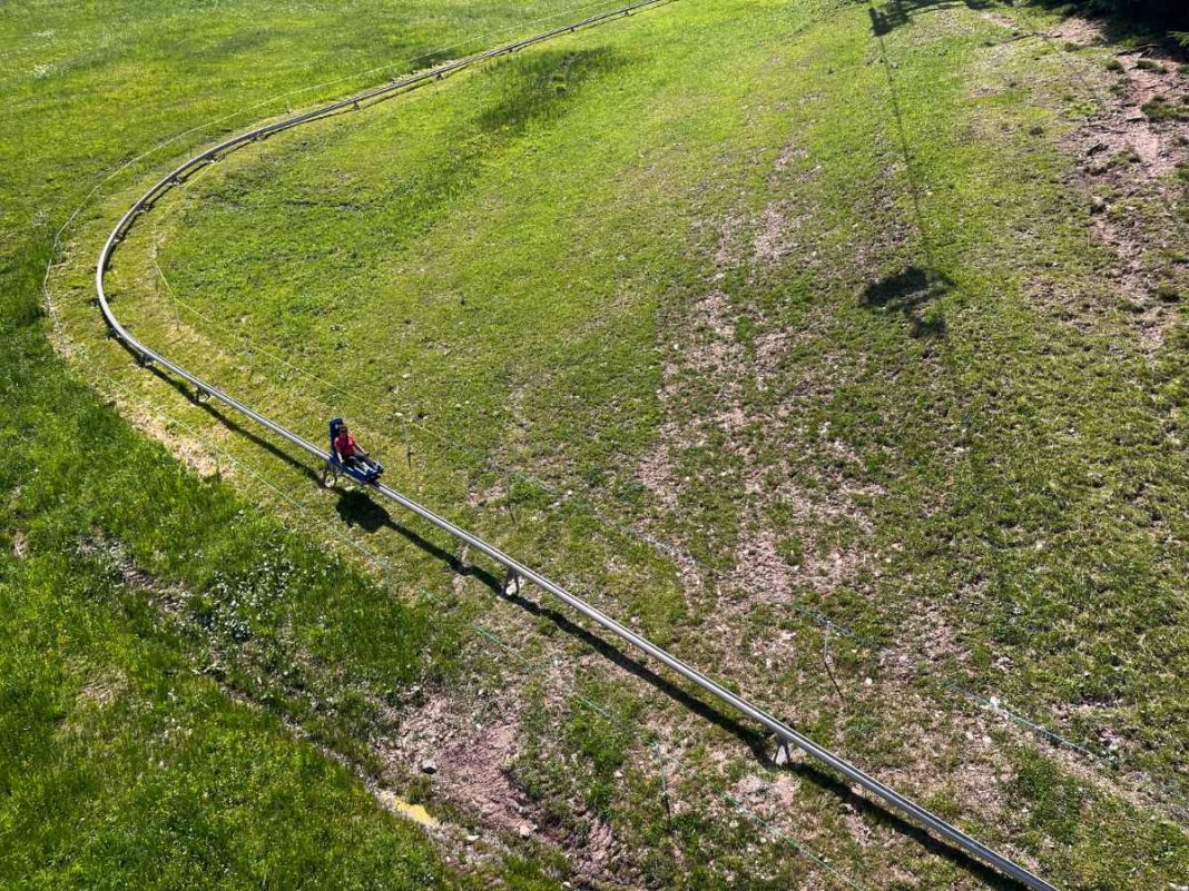 Sul Monte Baranci con i bambini: consigli utili - Viaggiapiccoli